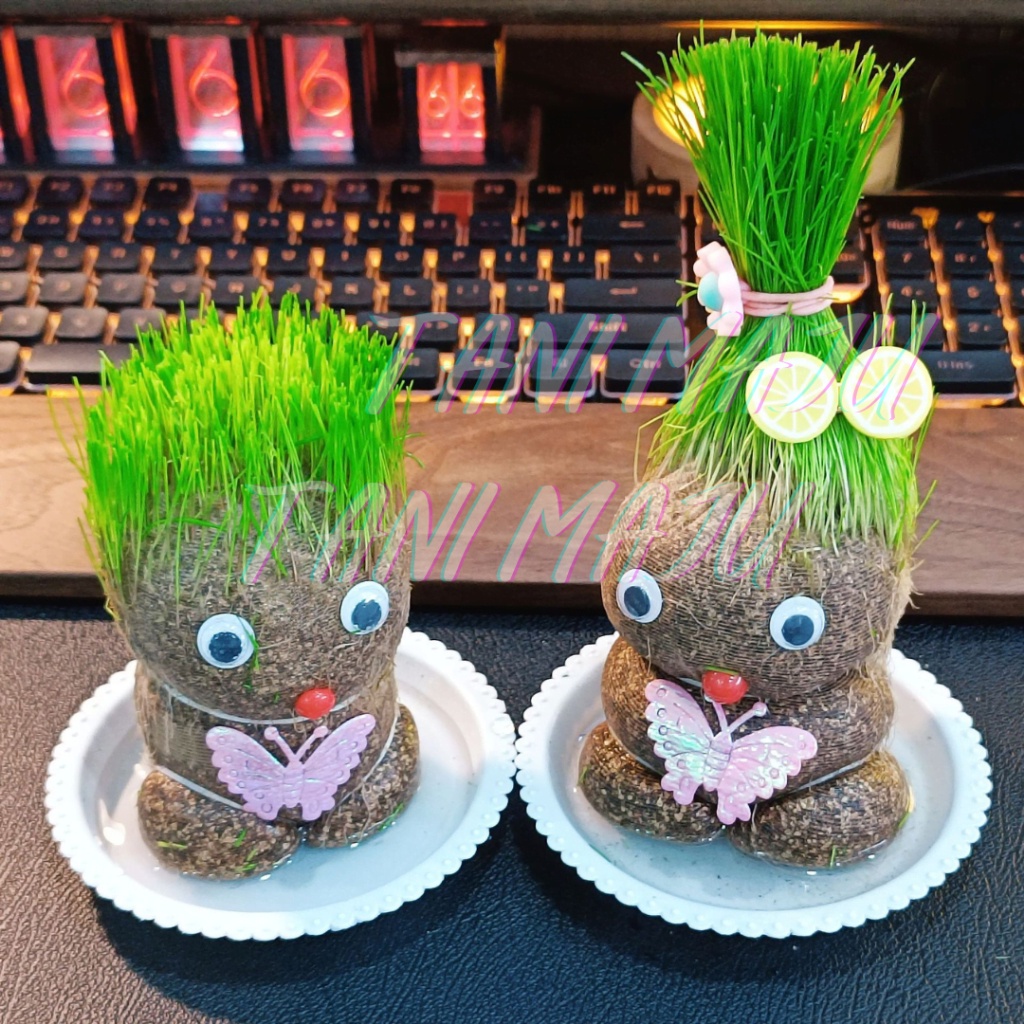 TM Craft Growing Grass Head Toy Planting For Children Home Office Anak