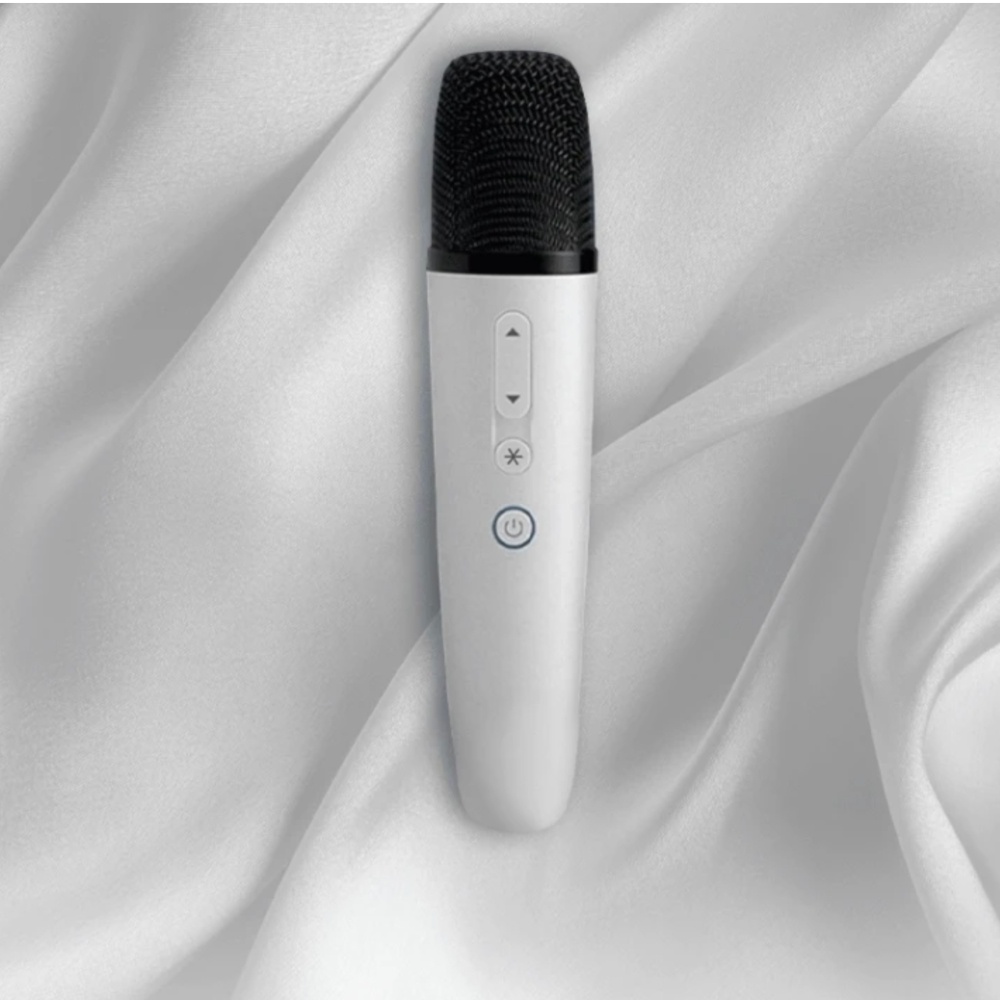 Car Microphone with Receiver Car Karaoke Mic for BYD Dolphin/Seal/ATTO ...