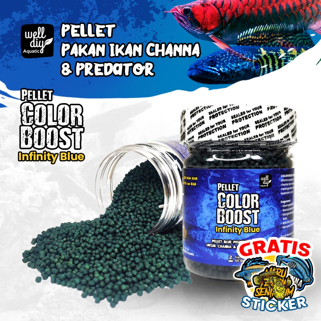 Channa Fish Pellet Chana Feed Blue Pulcra Carophyll COLOR BOOSTER Blue ...
