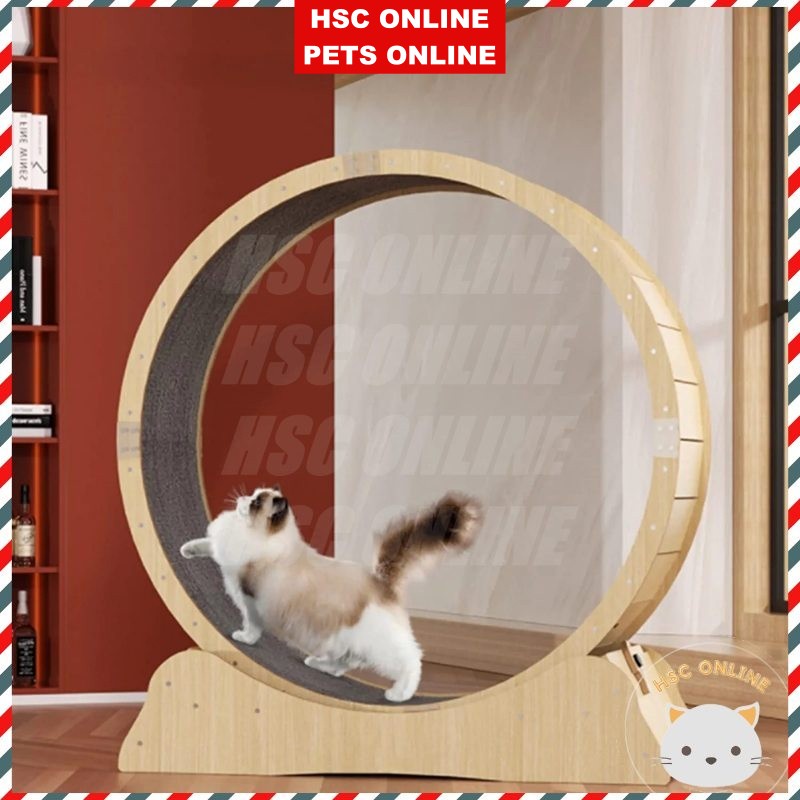 Cat Wheel, Quiet Spinner Cat Exercise Running Wheels, Cat Weight Loss ...
