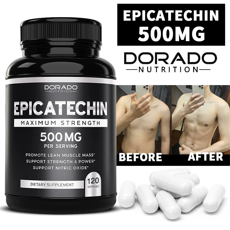 Epicatechin Capsules – Myostatin Blocker | Shopee Malaysia