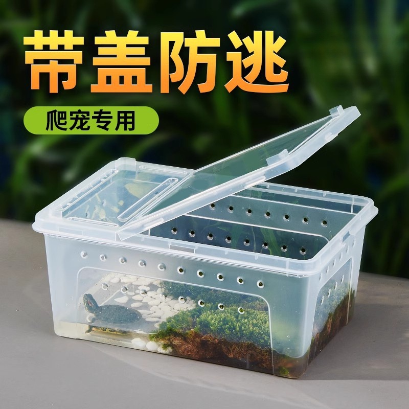 Reptile Breeding Box Turtle Hibernation Box Gecko Spider Scorpion ...