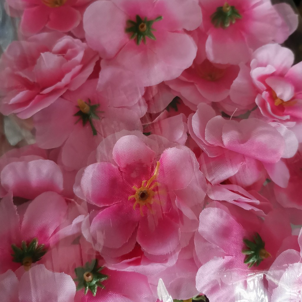(50pcs+/-)Blossom Flowers Petals Bunga Sakura Hiasan Dinding 梅花瓣 梅花头 ...