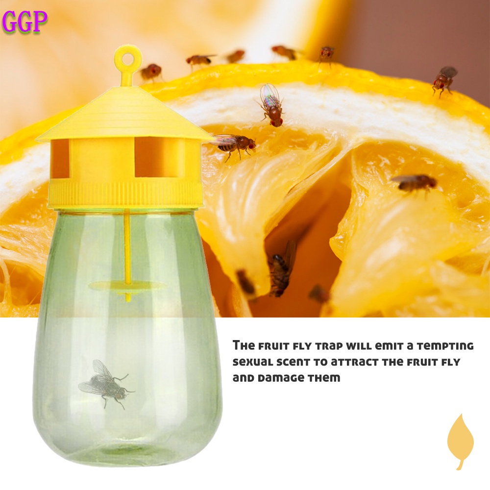 ^Lz^ Wasp Trap Fruit Fly Flies Insect Bug Hanging Honey-Trap Catcher ...