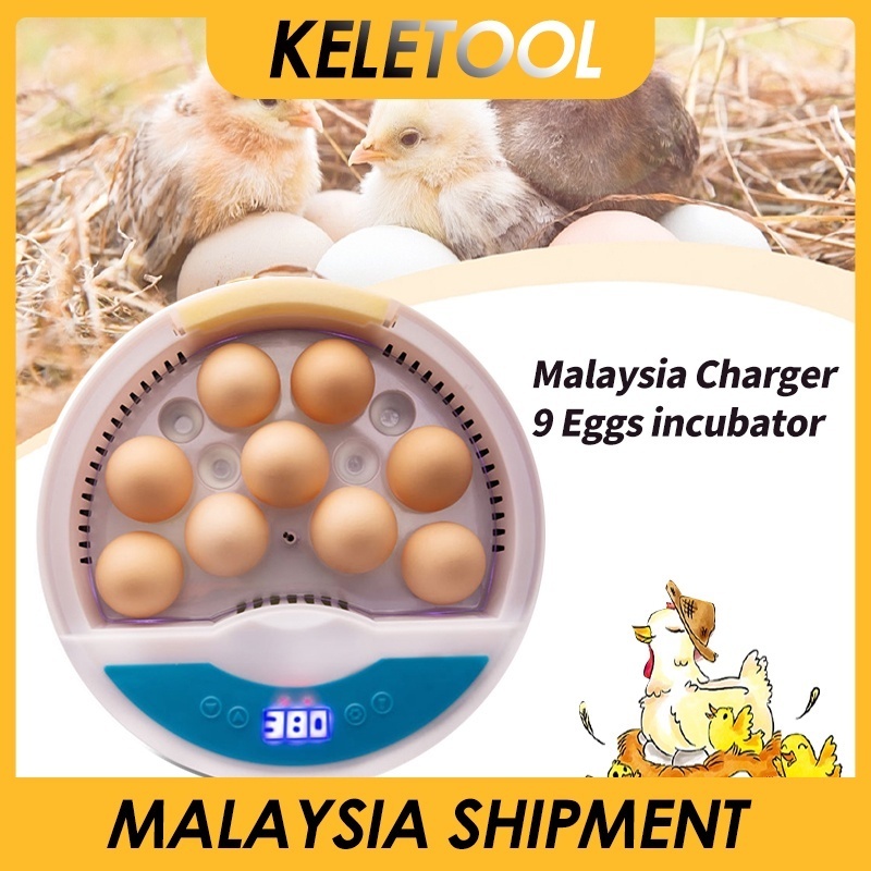 Portable Digital 9 Egg Hatcher Incubator Automatik Penetas Telur Ayam ...