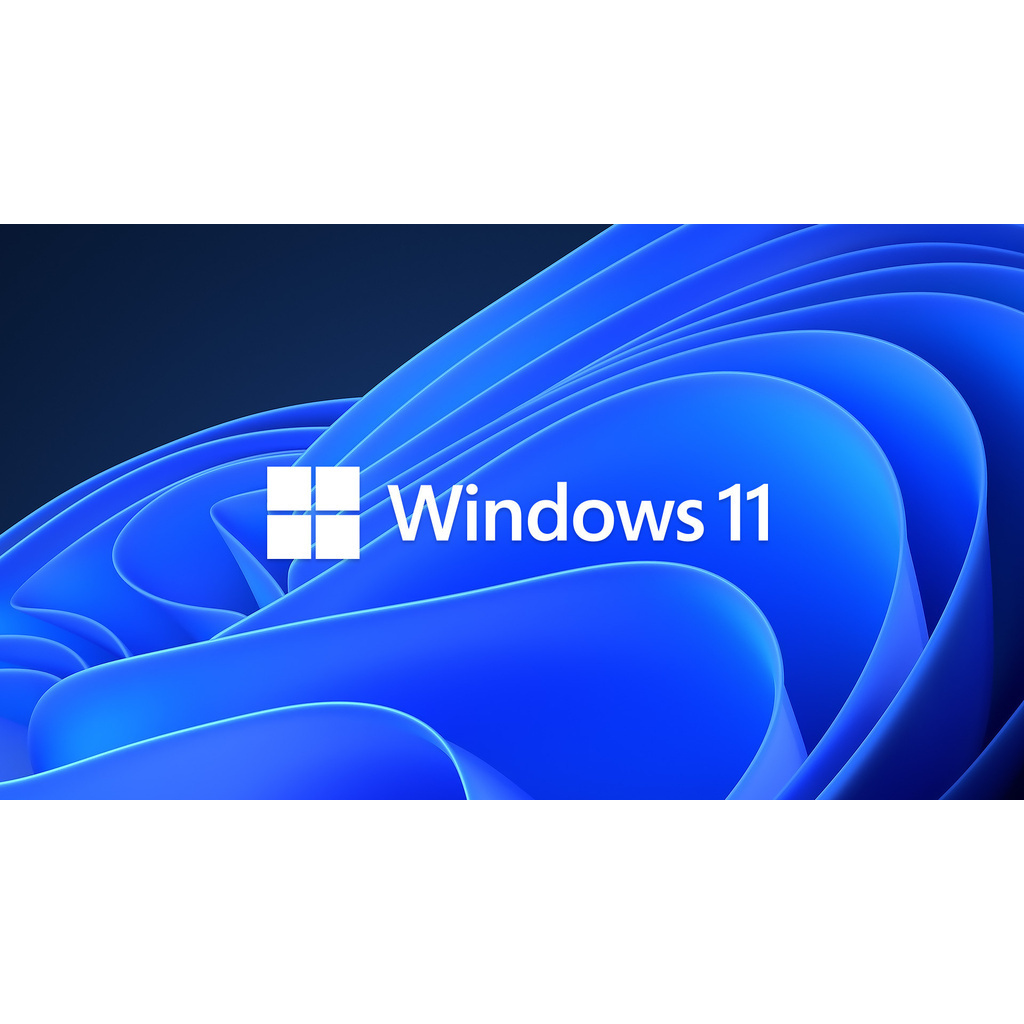 Microsoft Windows 11 Pro 32/64BIT ORY OEI Medialess (QPF-00425 ...