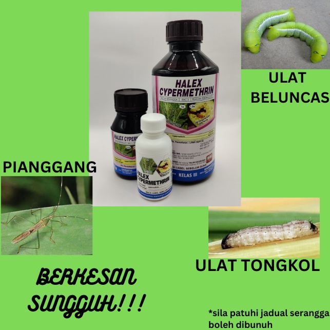 Racun Serangga 5.5% 1L pianggang ulat bungkus kepinding nyamuk belalang lelompat daun penyawang ...