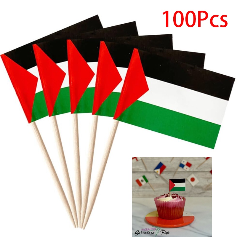 Palestinian Flag Toothpick Palestine Flags 100Pcs/Set Palestine flag ...