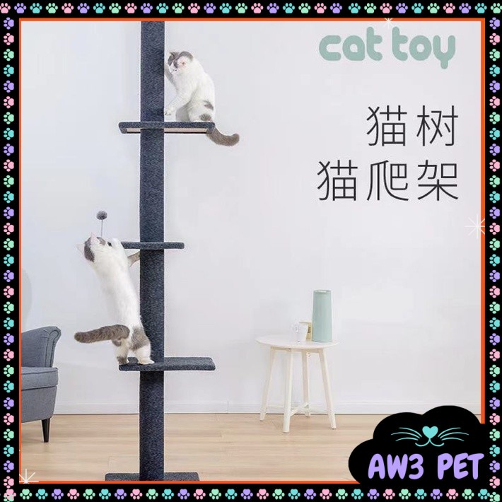 2M Ceiling Pole Cat Scratching Pole Cat Toy Cat tree | Shopee Malaysia