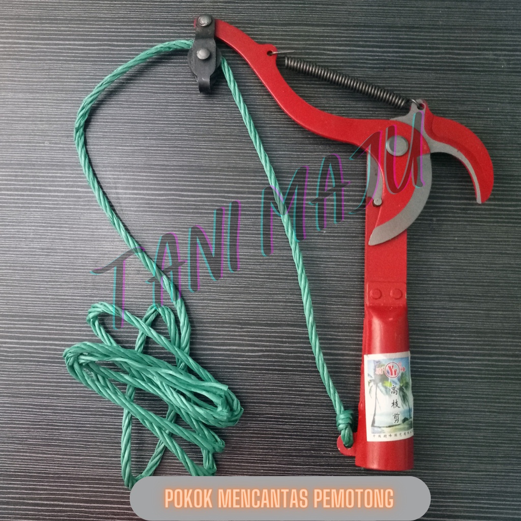 Gunting Pokok Dahan / Gunting kait buah / Rambutan Shear GUNTING ...