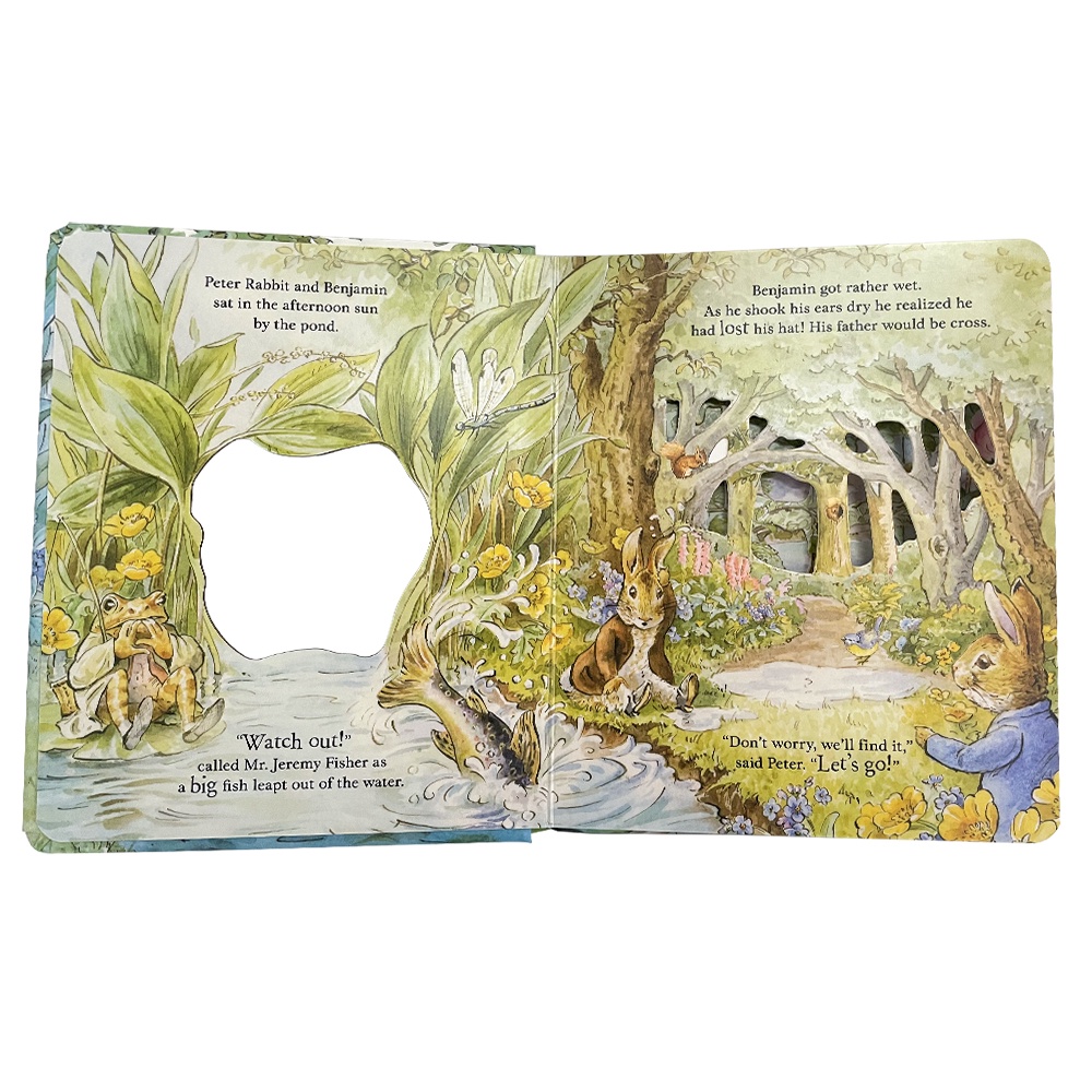 Usborne Peter Rabbit: The Lost Hat A Peep Inside Tale Educational ...