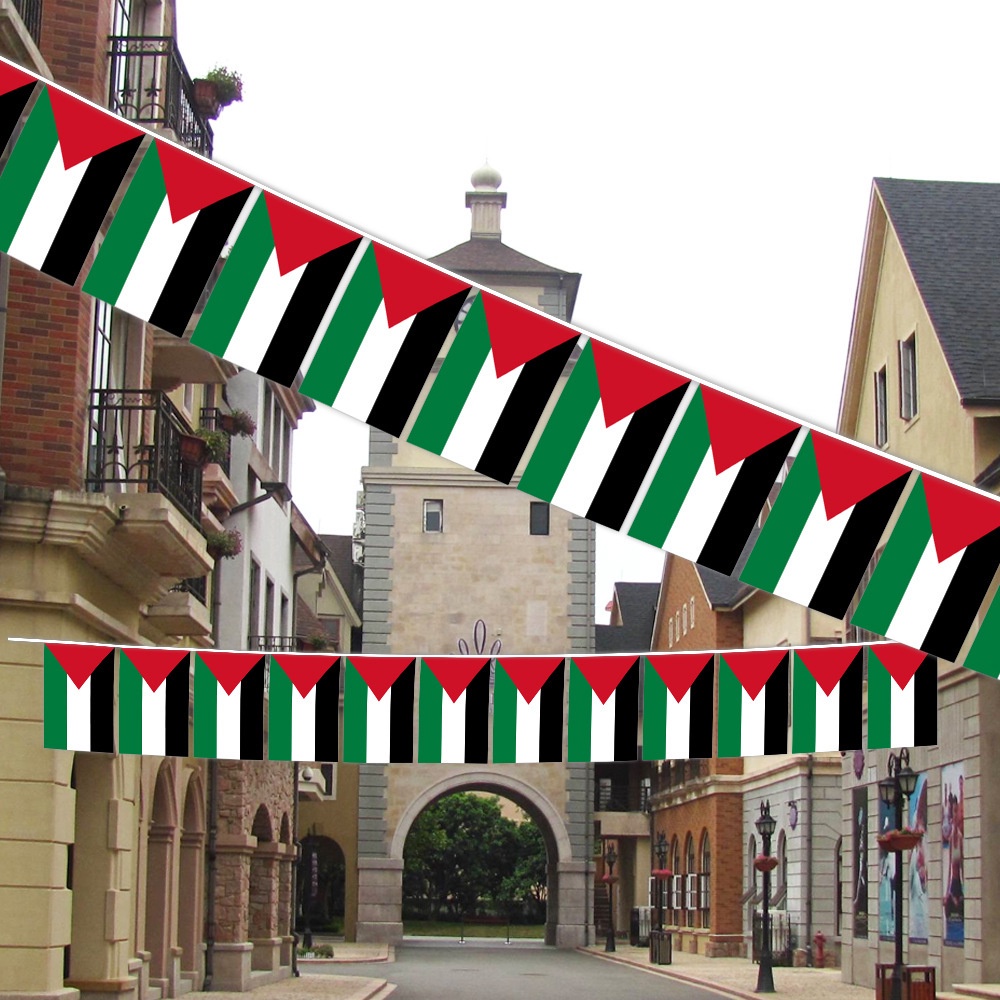 Palestine Bunting Flags Pennant String Banner Buntings 5M Festival ...