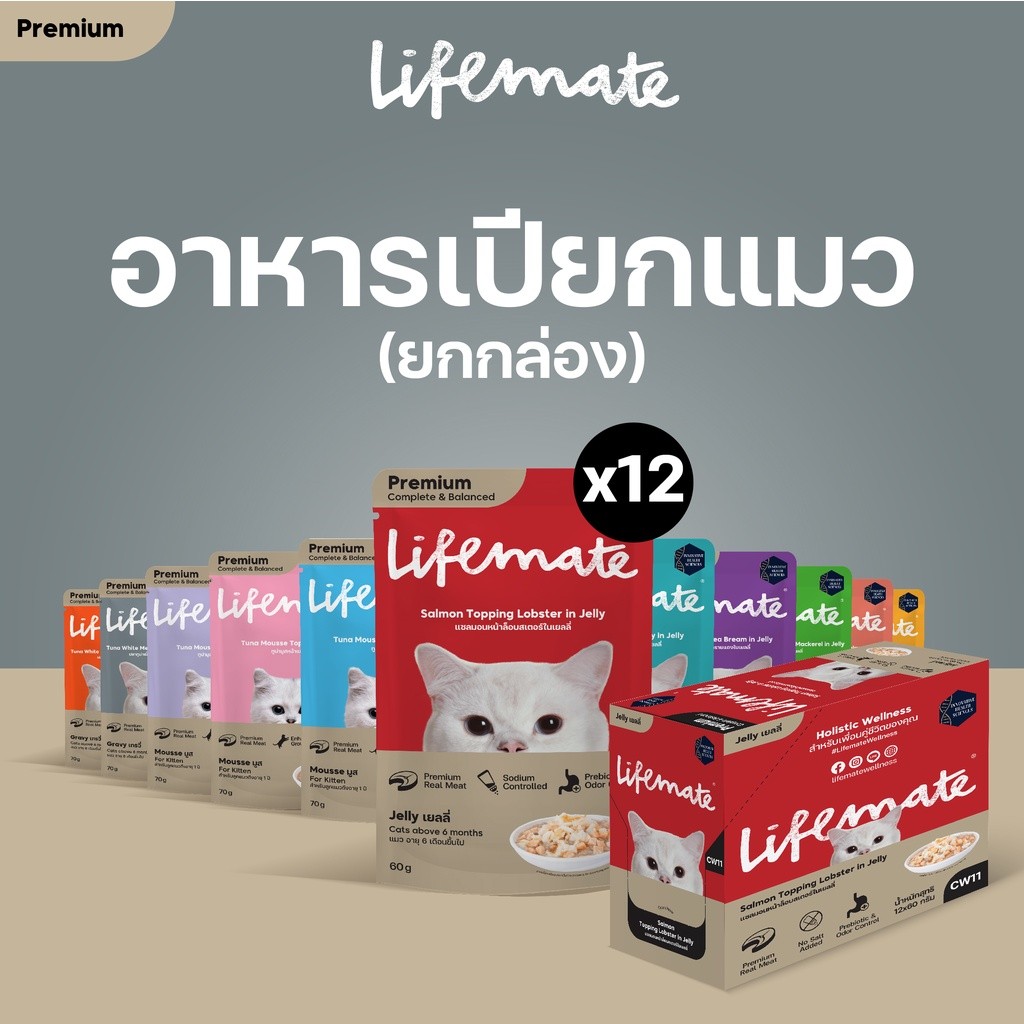 [12 Sachets] Lifemate Premium Complete & Balanced Wet Cat Food (70g ...