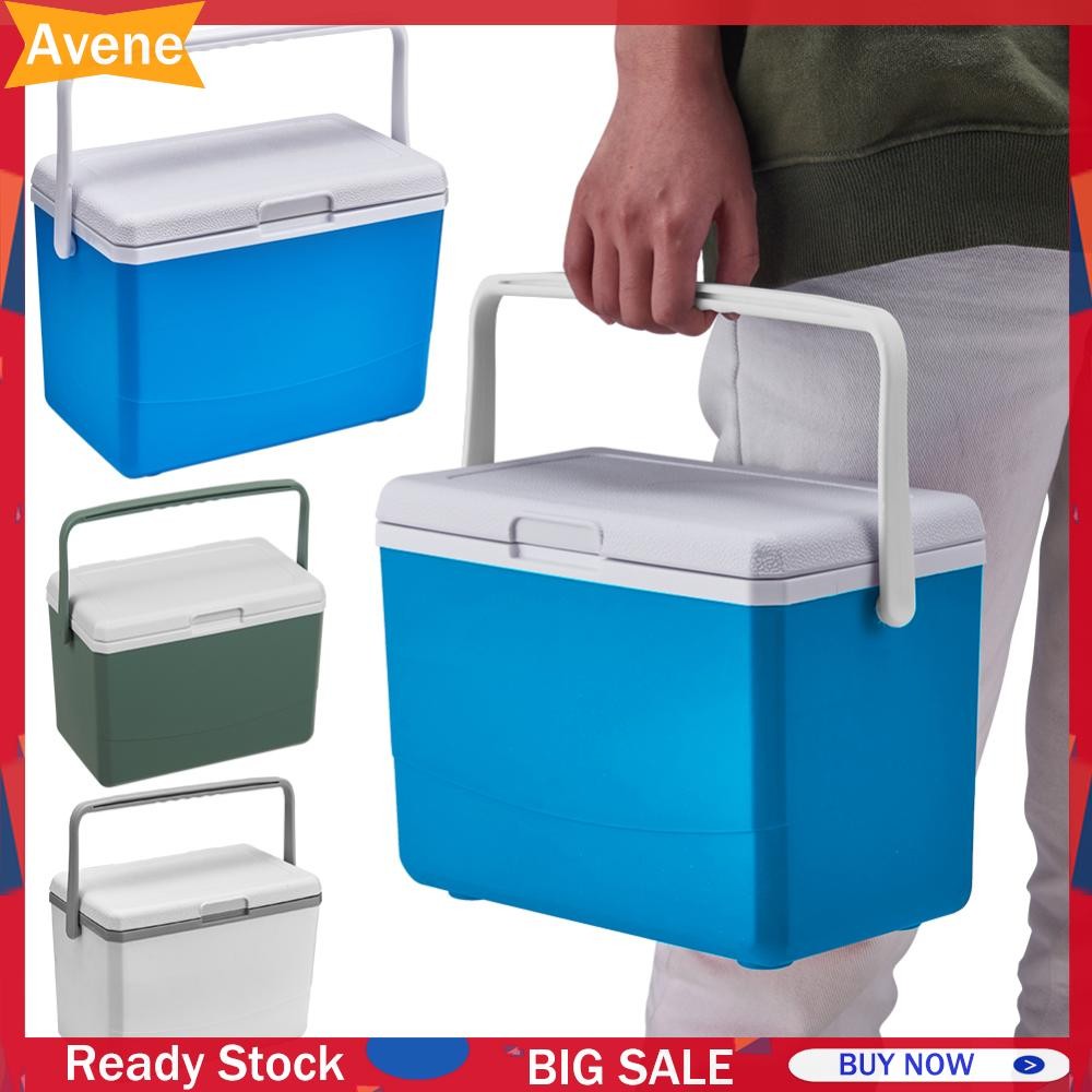 3L Insulated Portable Cooler with Handle Mini Freezer Fridge for Beach ...