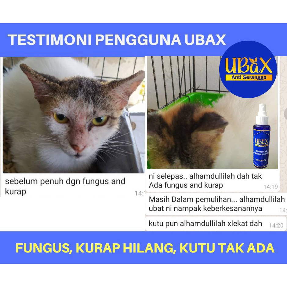 Pawpaw Ubax Kucing Cat Hero Spray original Ubat Kurap Kucing Spray ...