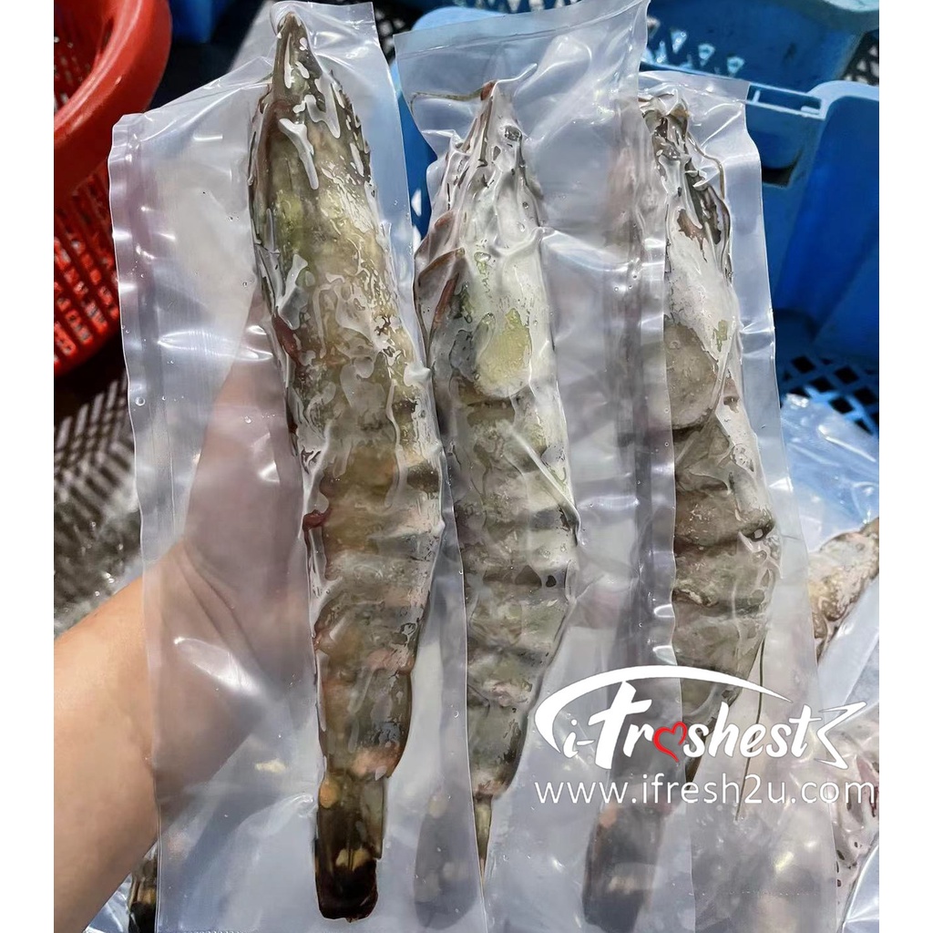 沙巴野生老虎虾 SABAH WILD TIGER PRAWN 1 PCS (FROZEN) | Shopee Malaysia