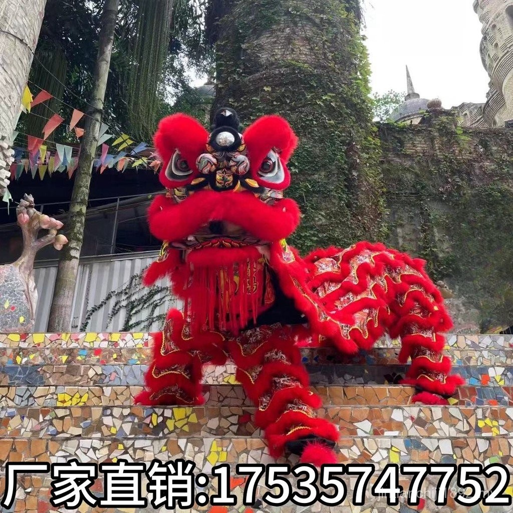 Jiangsu Single Lion Dance Wool Lion Head Performance Costume Full Set ...