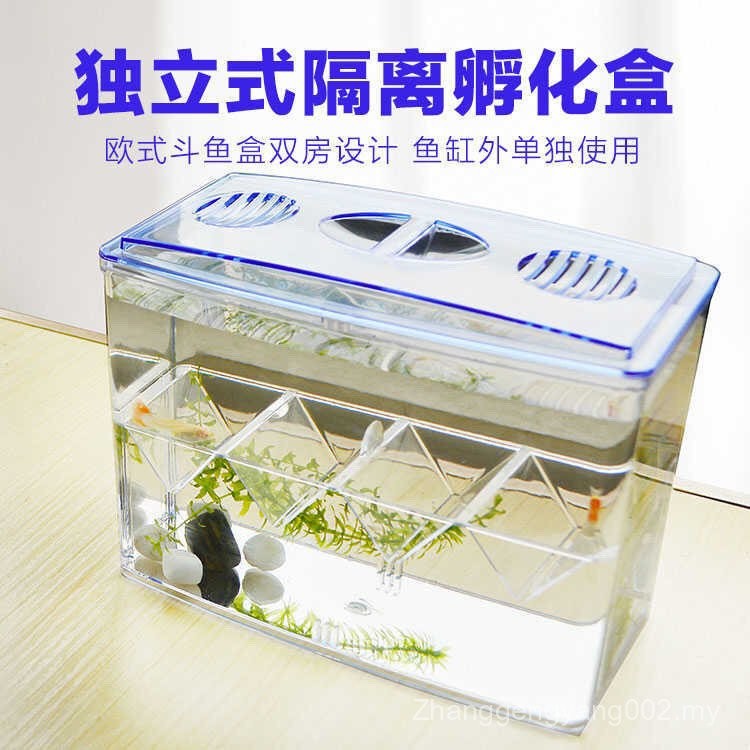 My Hot Small Fish Tank Isolation Box Ornamental Fish Breeding Box Guppy ...