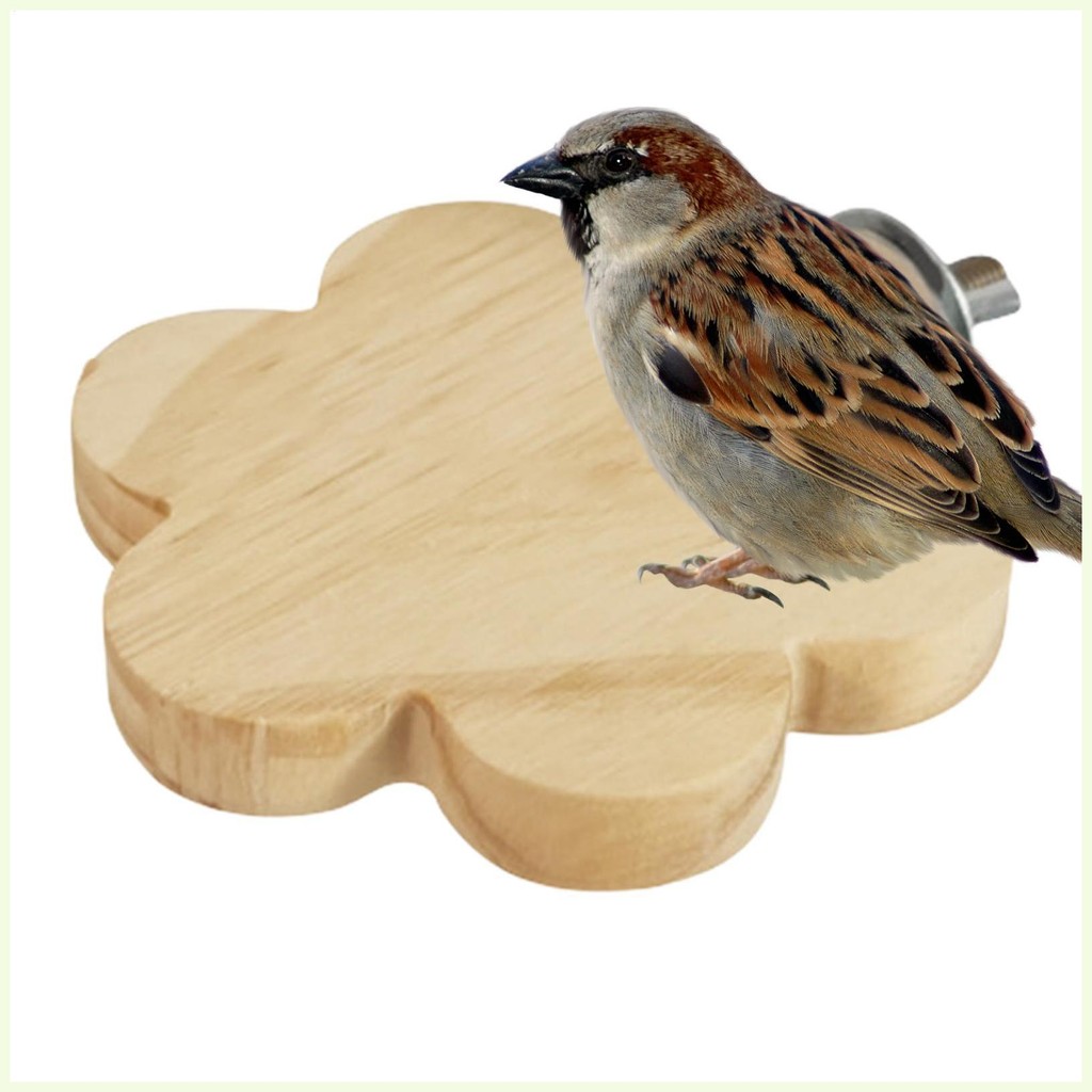 Bird Perches For Cage Conure Perch Stand Parrot Cage Accessories for ...