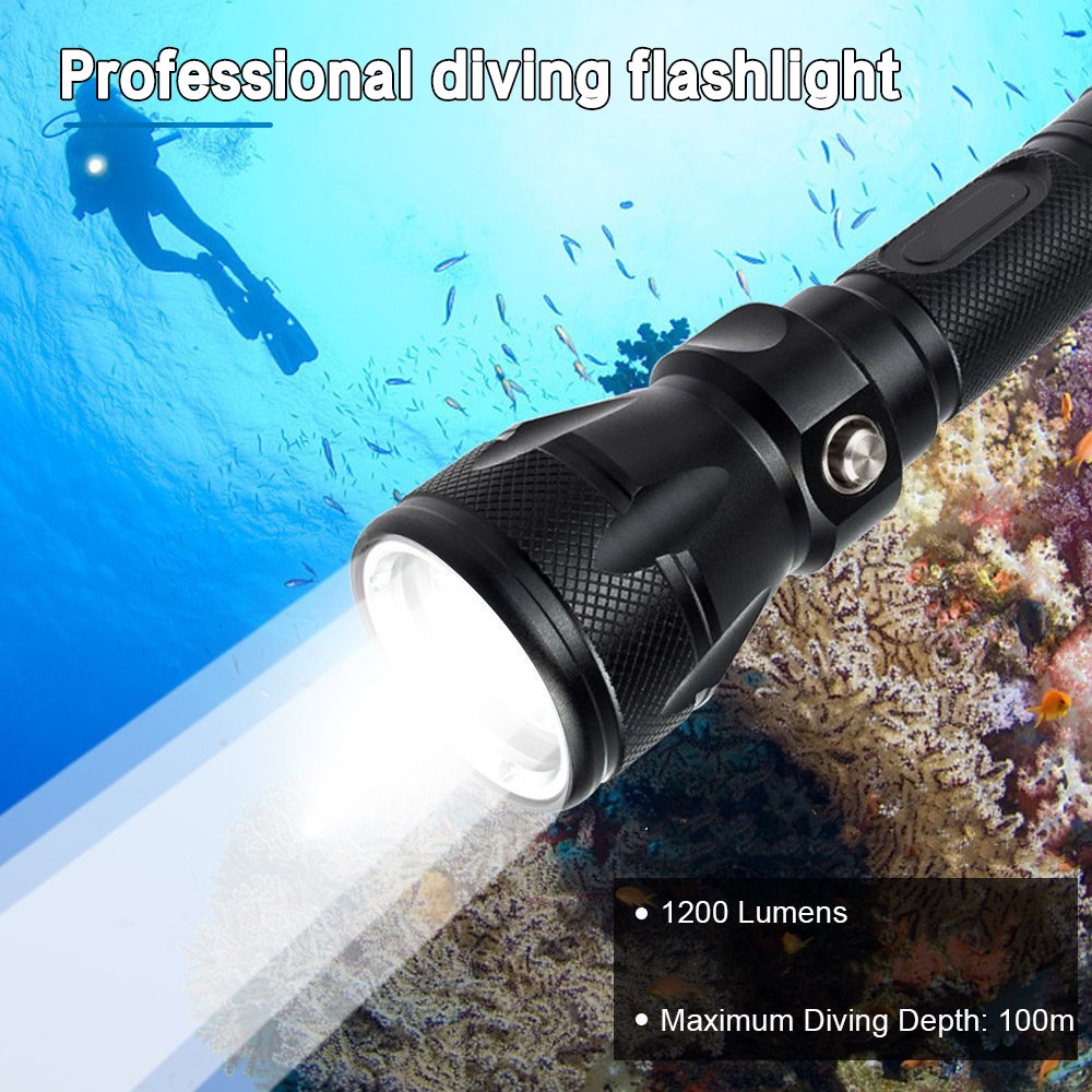 Deep Sea Work Patrol Fishing LED Aluminium Alloy Diving Flashlight ...