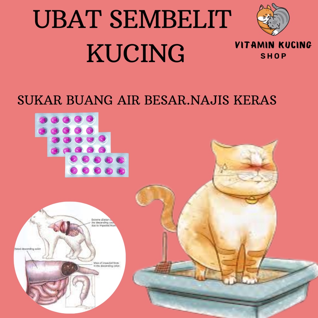 VitKucing Ubat Sembelit Constipation Cat Dog lawas berak untuk Kucing ...
