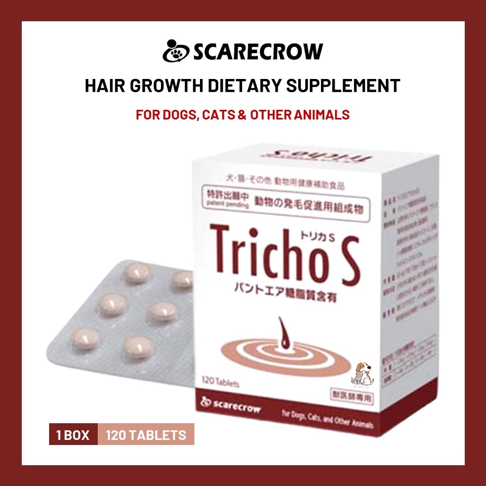(EXP:02/2027) SCARECROW TRICHO-S: Hair Growth Dietary Supplement For ...