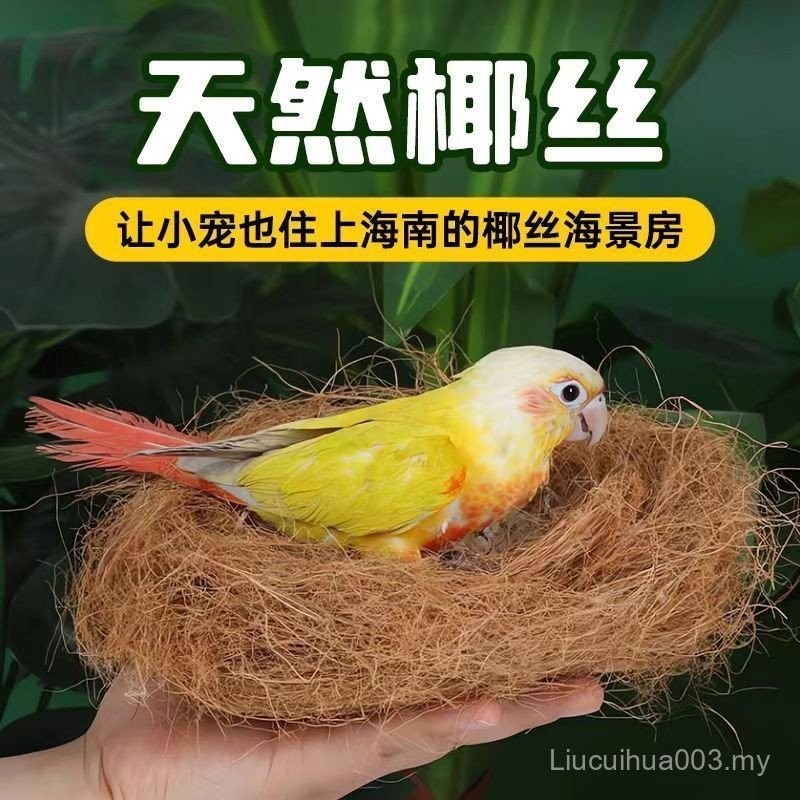 Sg [within One Week 1400+People's Order] Bird's Nest Litter Coconut ...