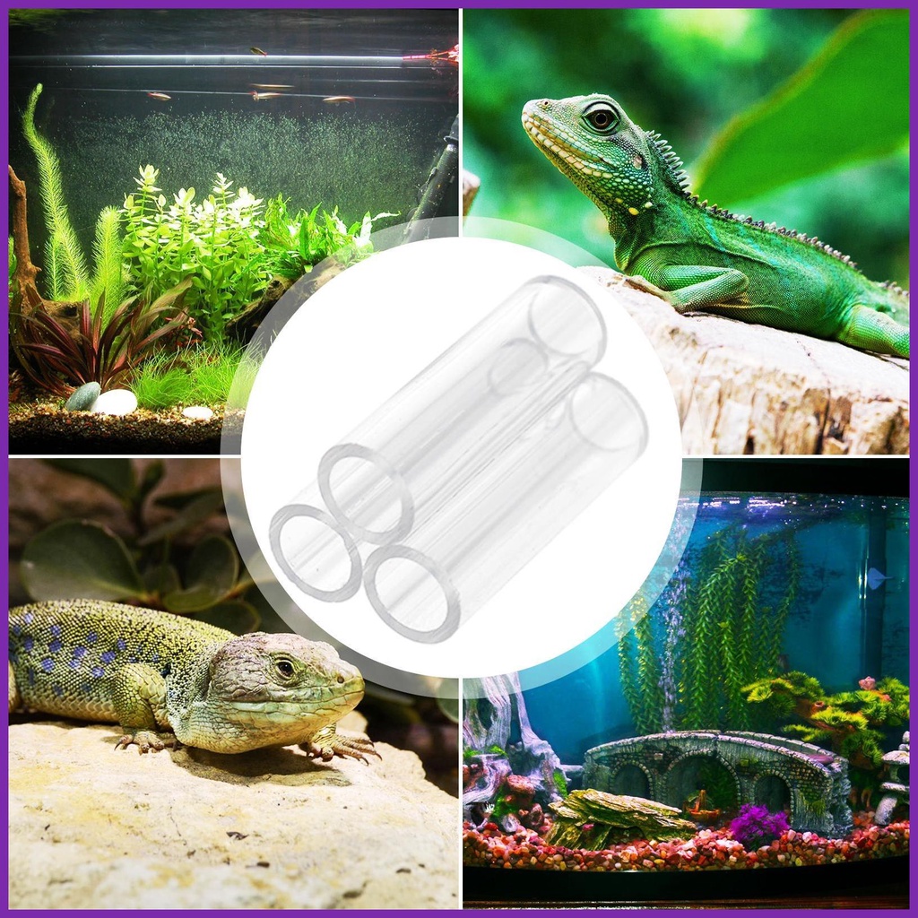 Shrimp Shelter Tube Acrylic Transparent Fish Shrimp Feeder Breeding ...