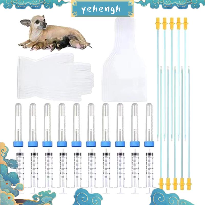 10 Set Artificial Insemination Dog Breeding Kit As Shown Breeding Kit ...