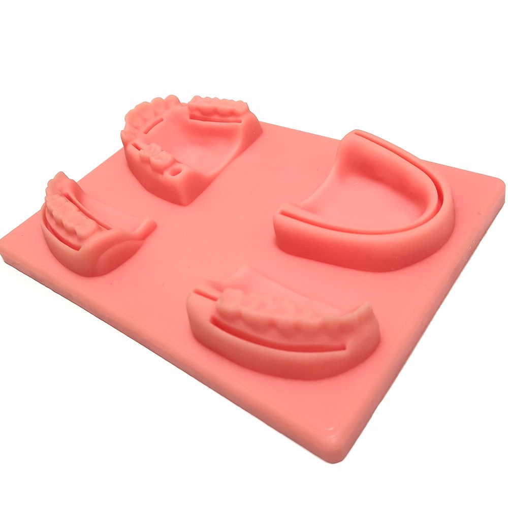 Dental Suture Pads Dental Suture Kit Teeth Gum Suture Training Kit ...
