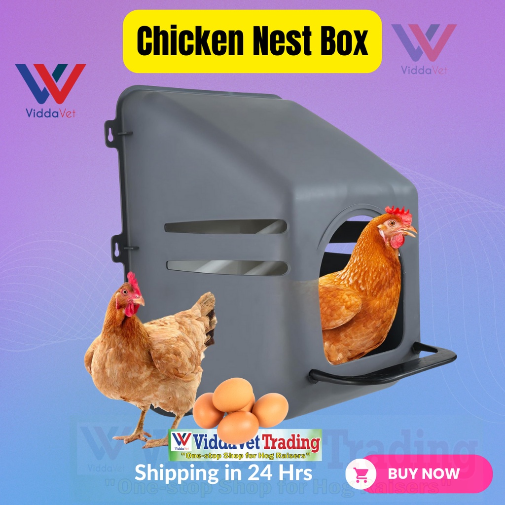 Nesting box plastic chicken nesting box chicken nests Best Nest Box ...