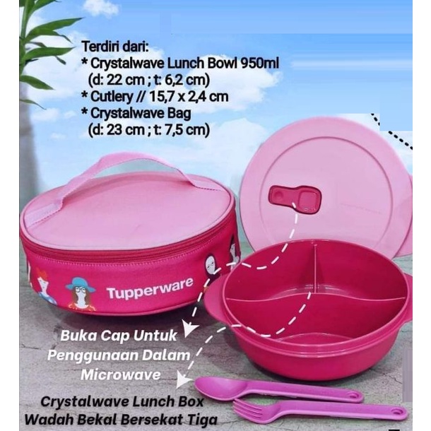Tupperware Large CrystalWave Divied Dish | Shopee Malaysia