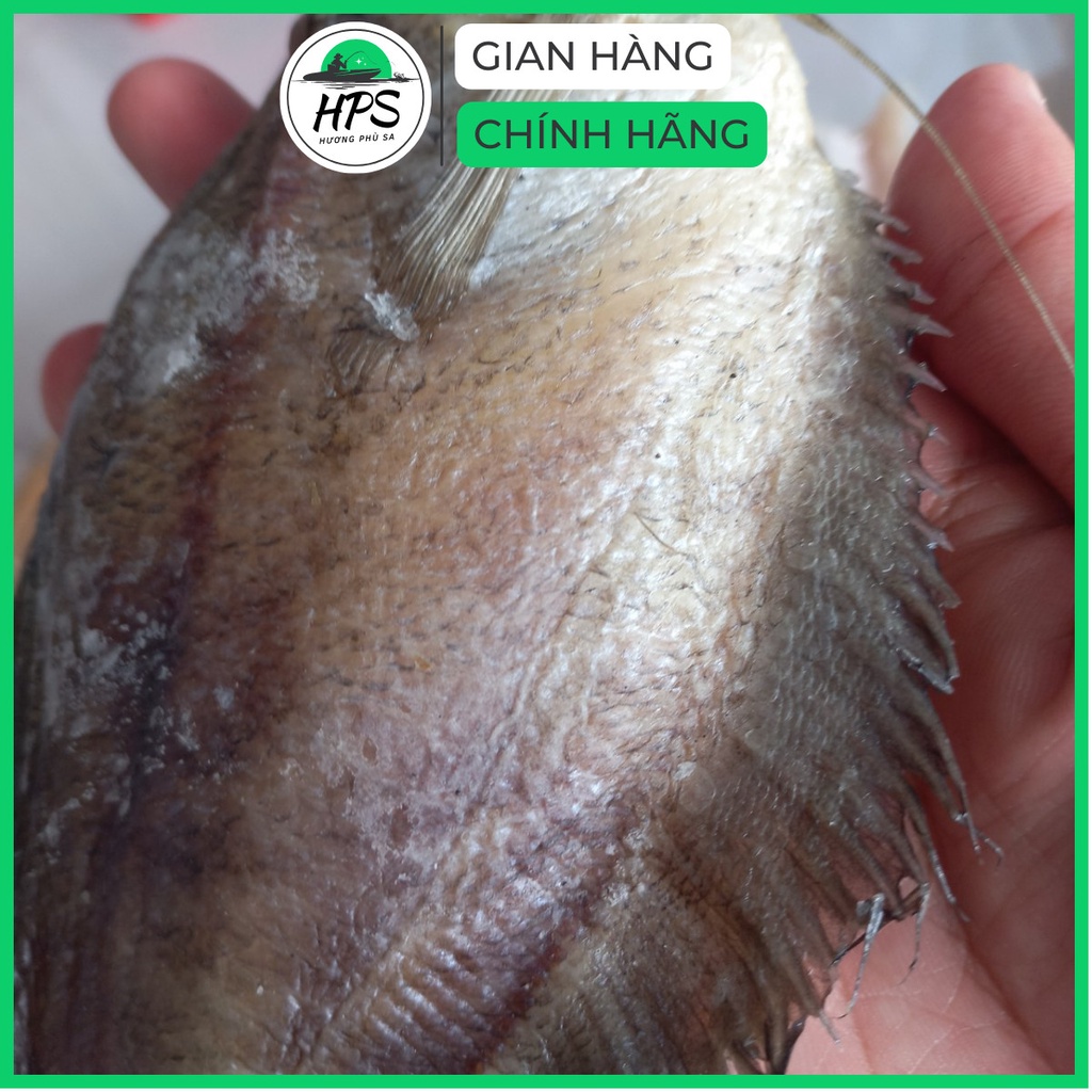 Dried snakehead gourami fish, dried Ca Mau gourami fish, type 14 ...