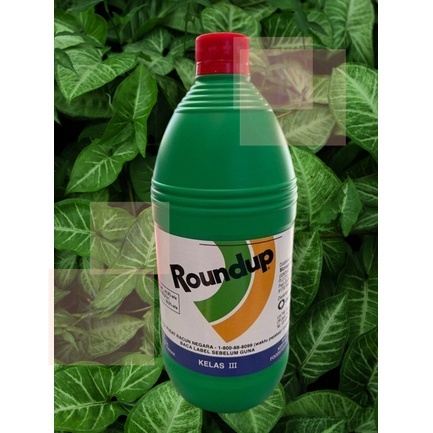 1L Roundup round up Monsanto Glyphosate 41% Weed Killer (Racun Rumput ...