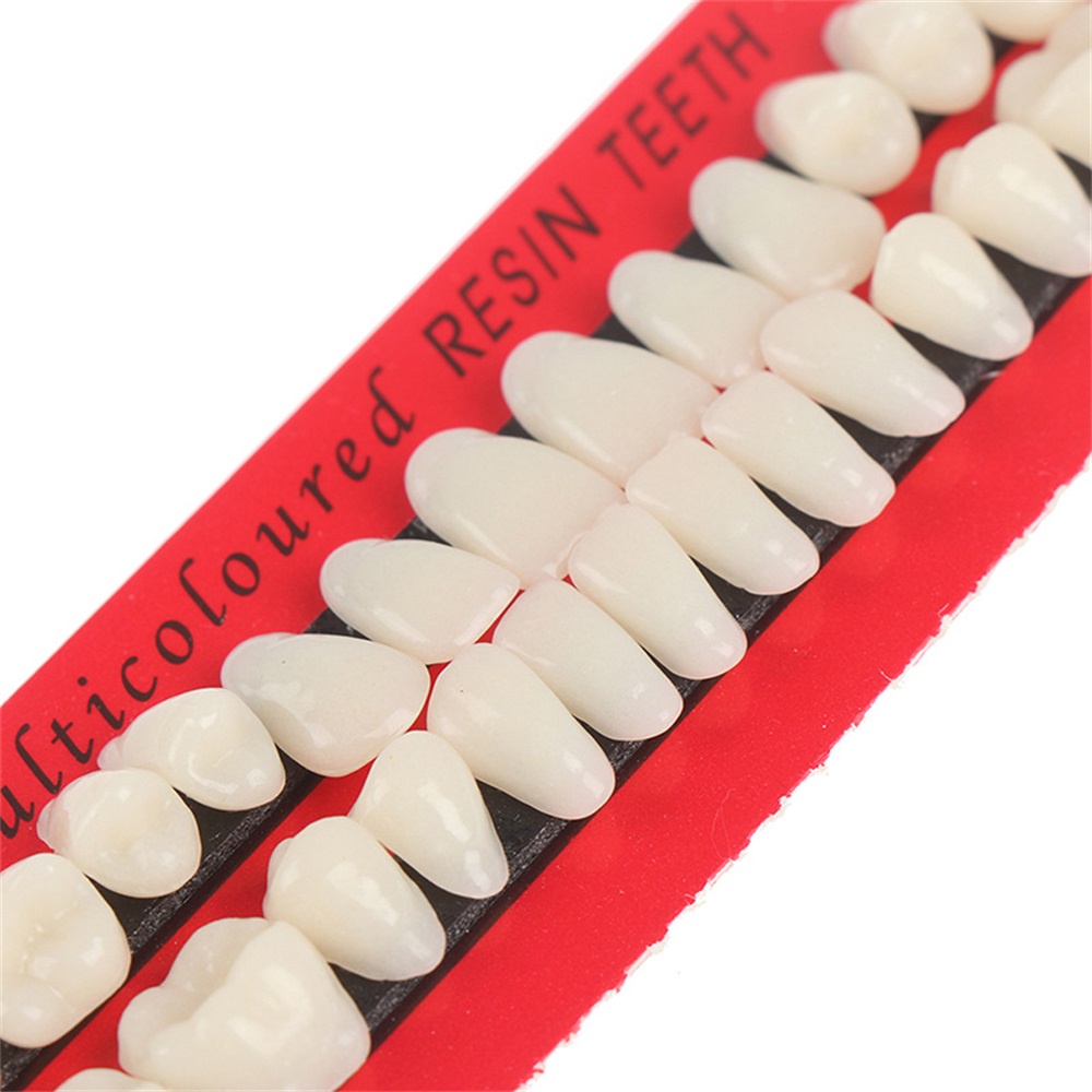Acrylic Denture Resin Teeth Upper Lower Shade False Teeth Whole Teeth ...