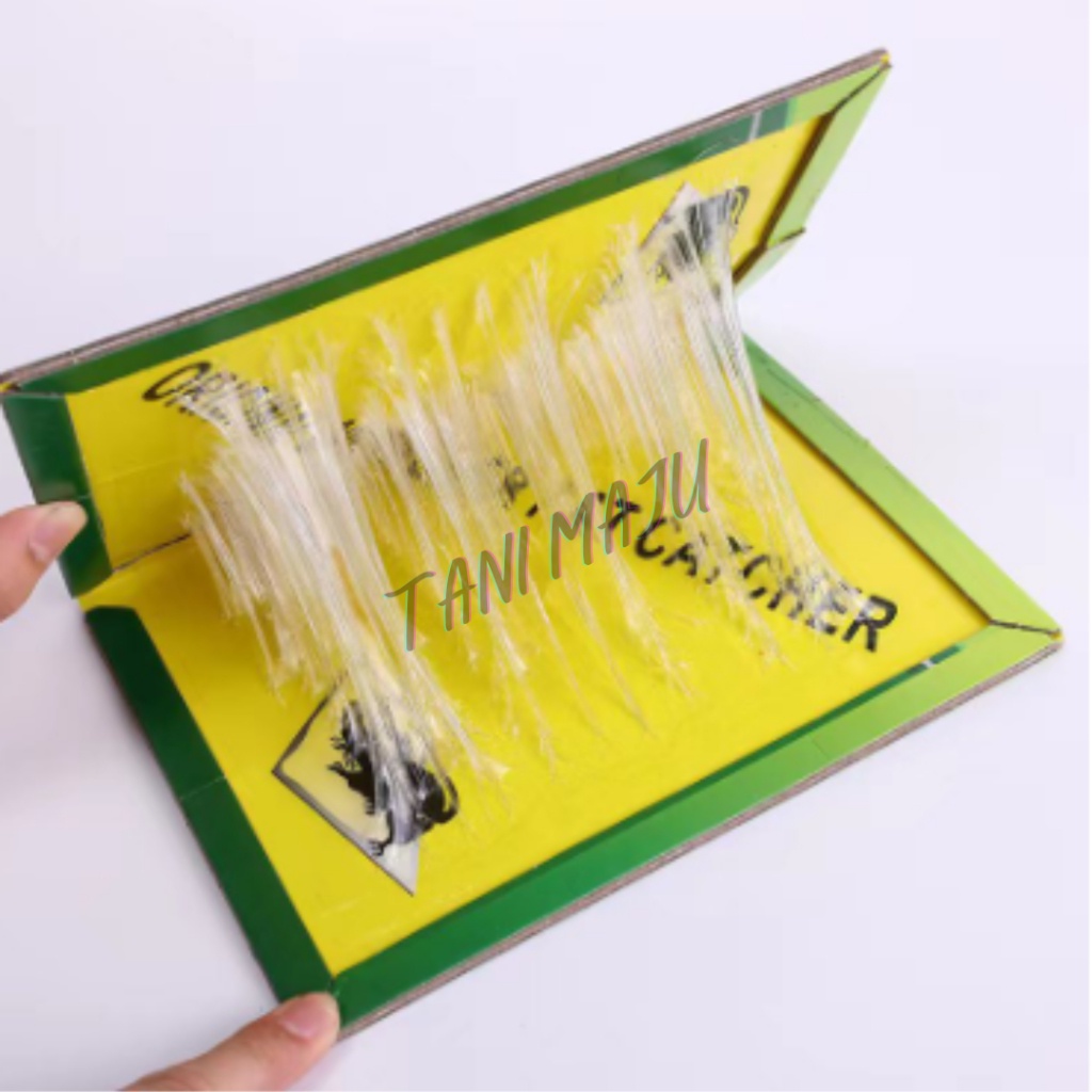 TANI MAJU / Super Mouse Glue Trap Snake Bugs Rat Mice Catcher Board ...