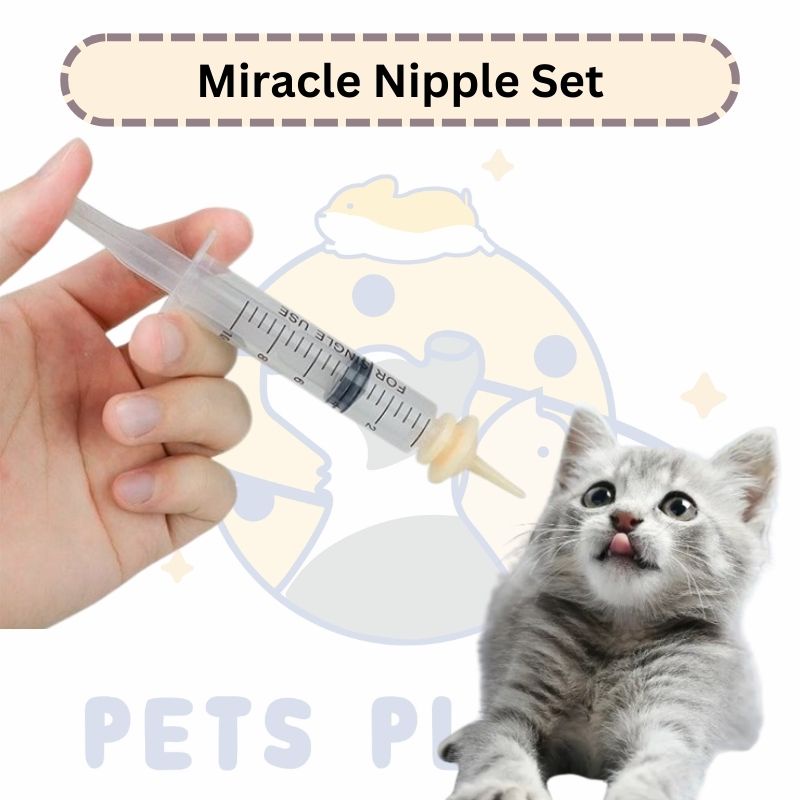 Pet Miracle Nipple Pet Miracle Syringe Puting Botol Susu Kucing Arnab ...