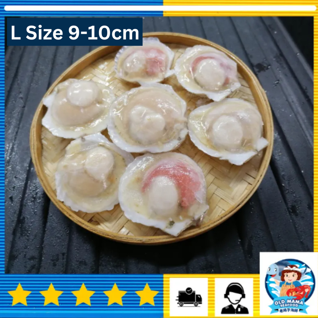 Half Shell White Scallop With Roe / 半壳白带子 L size 9-10cm (1kg/pkt ...