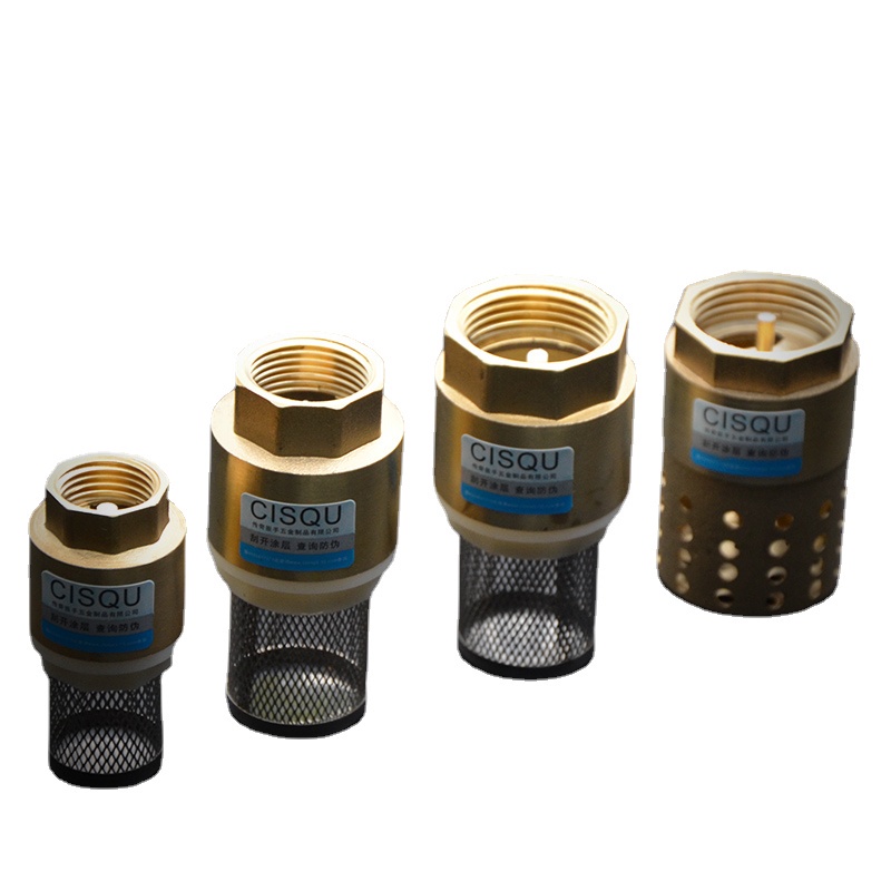 Water Pump Check Valve Brass Bottom Valve DN15/20/25/32/40 Water Pipe ...