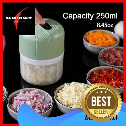 [HMS] Mini Blender Mini Chopper Electric Food Chopper Portable Blender ...