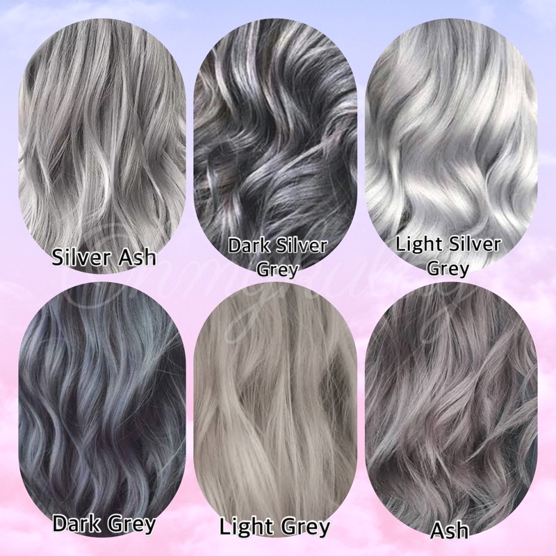 Ash/Grey Hair Color Series | Permanent Hair Dye Set with oxidizer (No ...