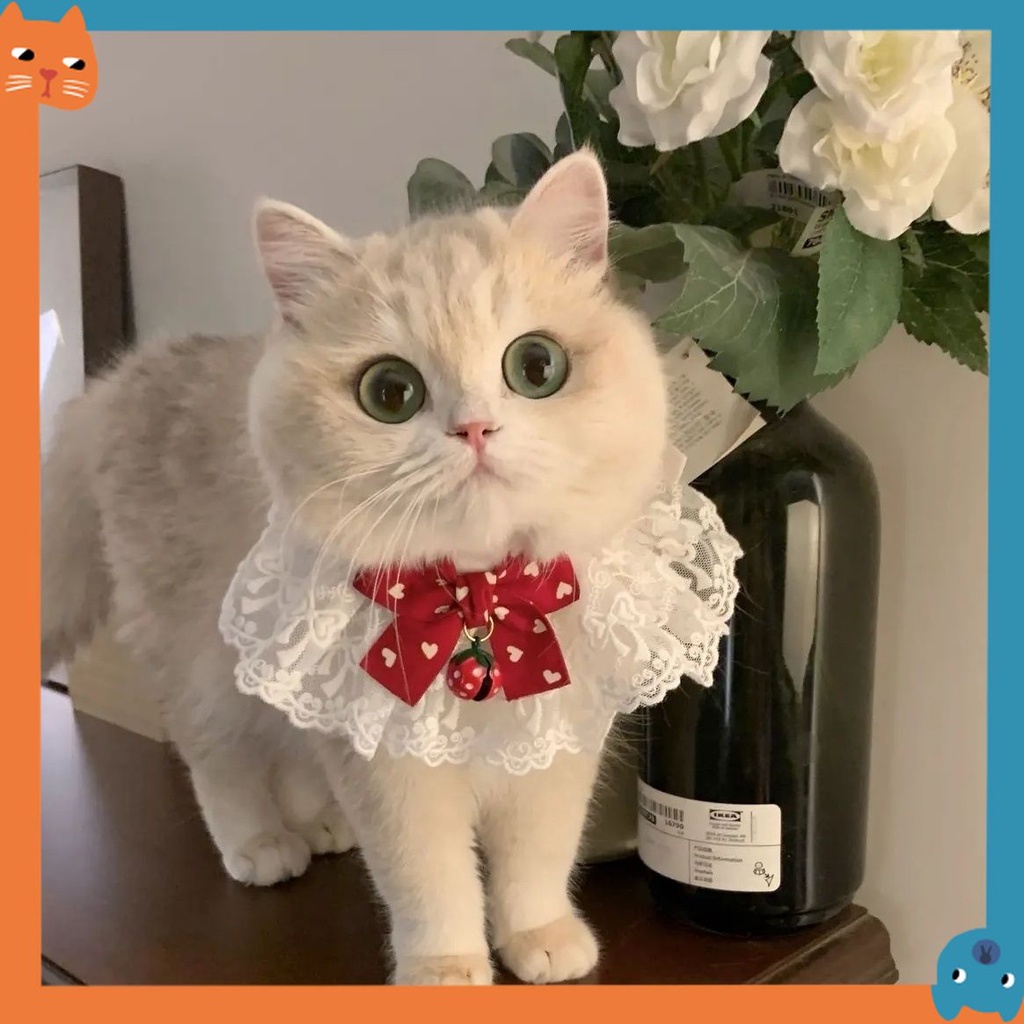 Pet Bow Scarf Cute Fairy Cat Scarf Princess Style Cat Lace Collar Pet ...