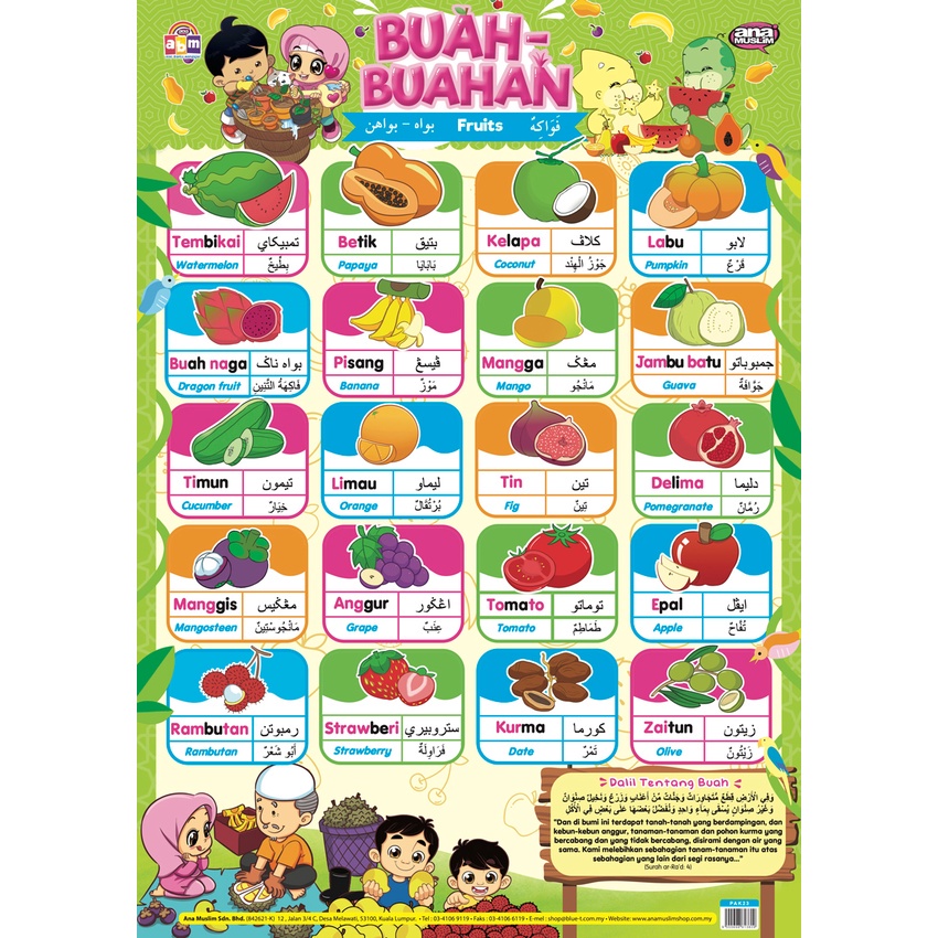Poster Buah-Buahan Fruits Alat Bantu Mengajar | Shopee Malaysia