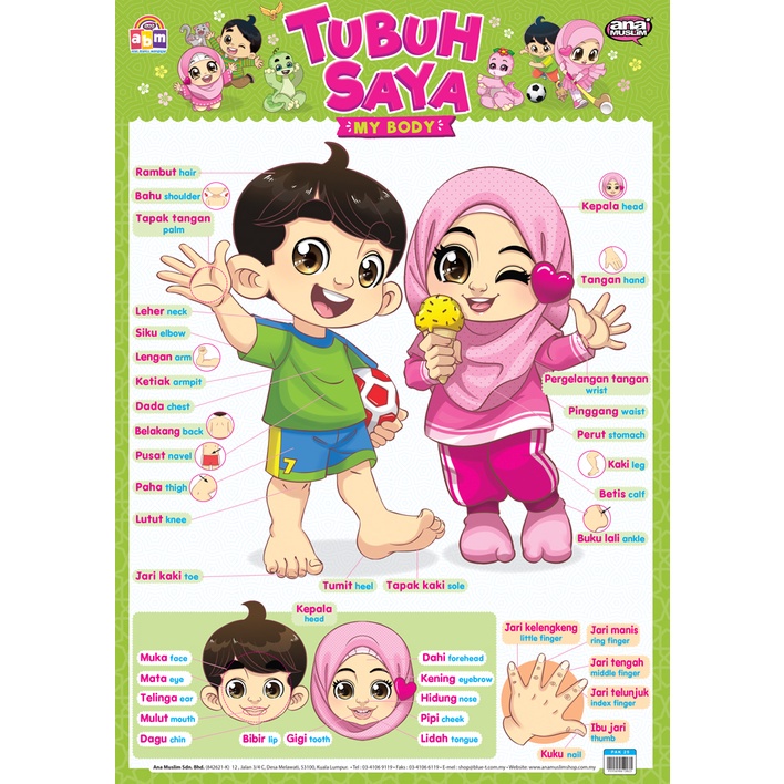 Poster Tubuh Badan My Body alat bantu mengajar | Shopee Malaysia