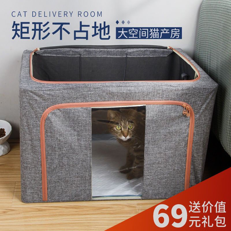 Cat Delivery Room Cat Pregnancy Waiting for Birth Closed Cat Litter ...