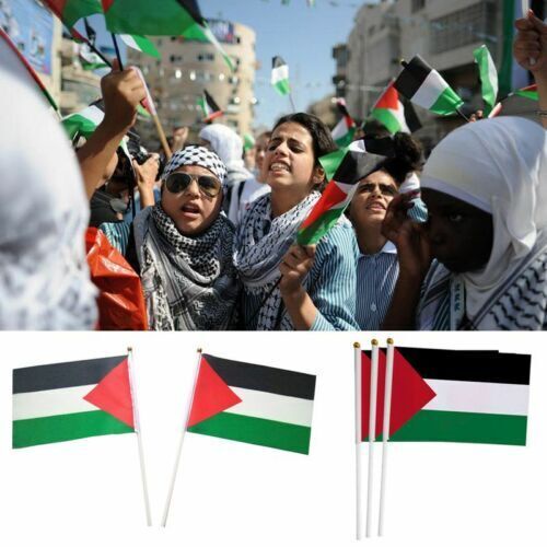 Ready Stock10PC Palestine Flag Small With Pole 14x21cm/20×28cm ...