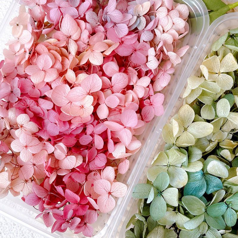 5g Packaging Preserved Flower Hydrangea Gradient Color Handmade DIY ...