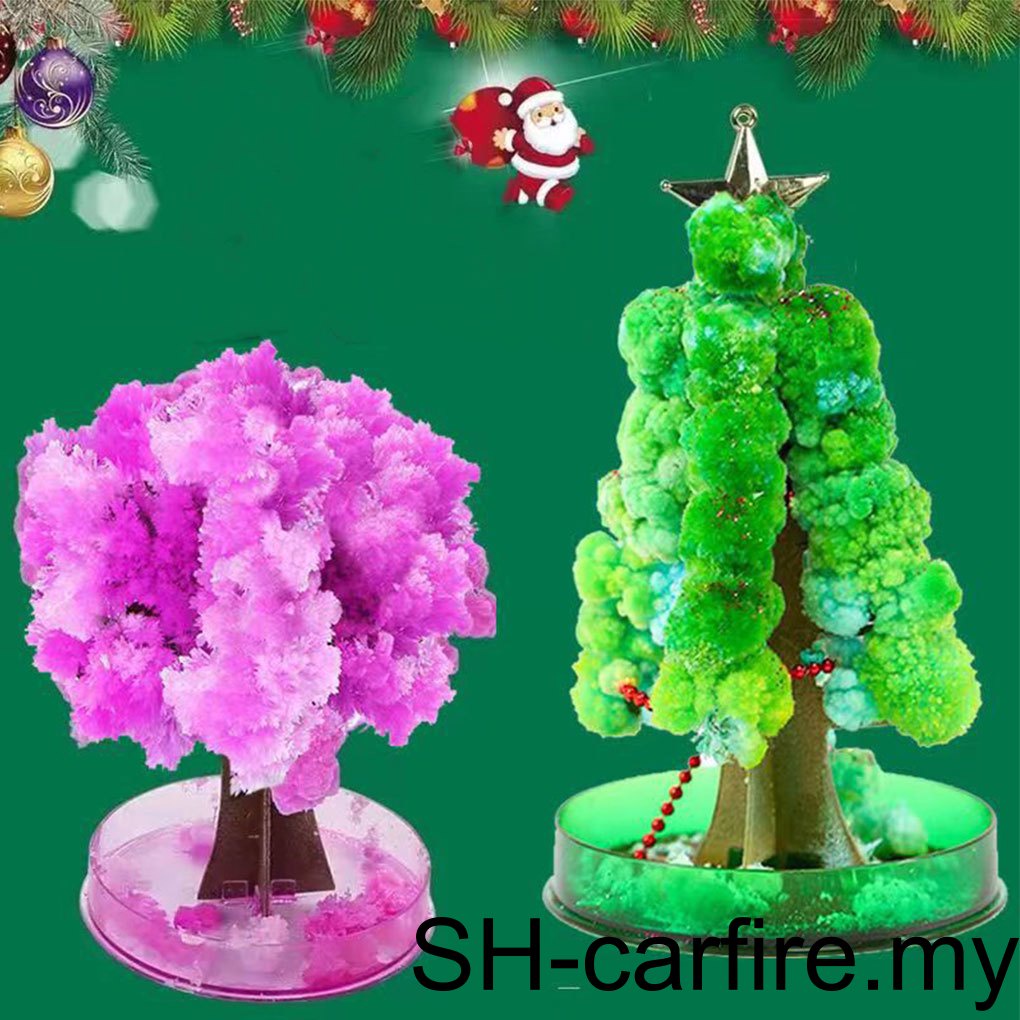 Playful Colors For Fun And Educational Desktop Growing Tree Growing ...