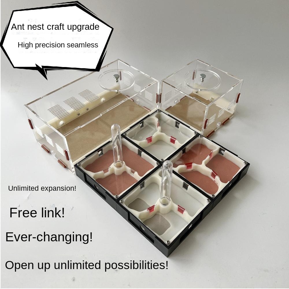 Ready pet house Ant Nest Starter Kit Stock Pioneer Unlimited Expansion ...