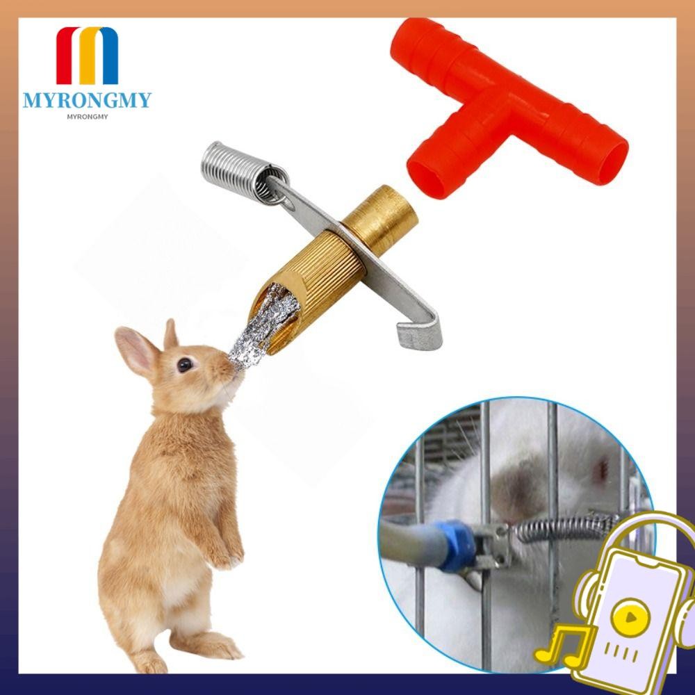 MYRONGMY 6Sets Rabbits Drinker Nipple, Copper Random Color Feeding ...